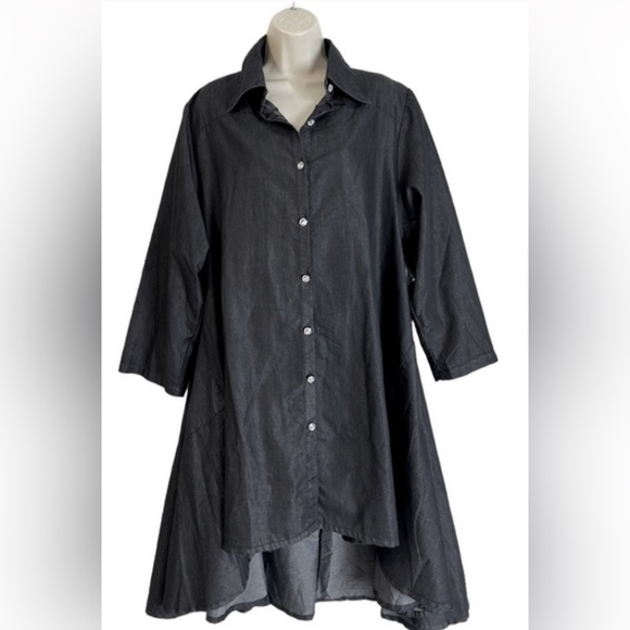 Step In Style | Dresses | Step In Style Flared Sides Hilo Denim Dress ...